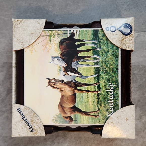 absorbastone | Kitchen | Horse Coasters | Poshmark